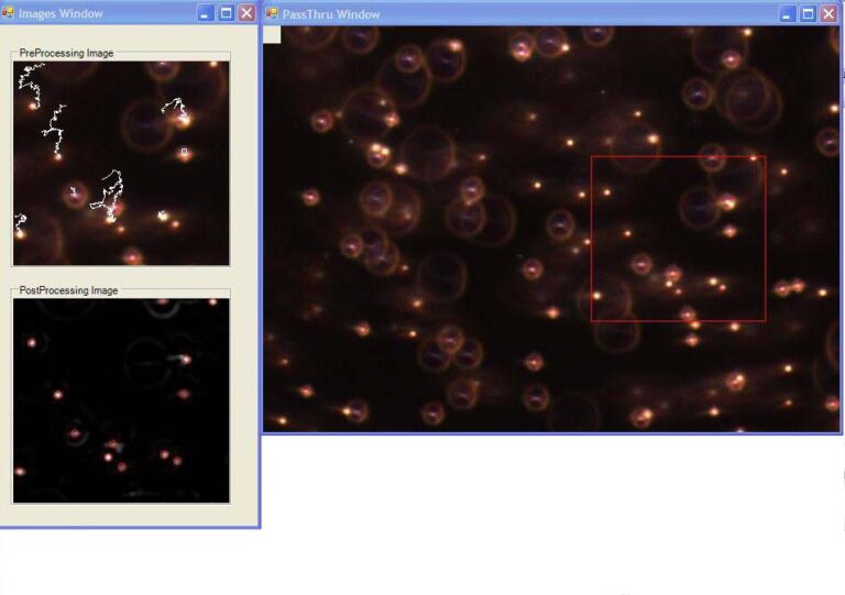 الدليل الكامل لفترة (The Anabolic Window) وفائدتها - المرشد نت